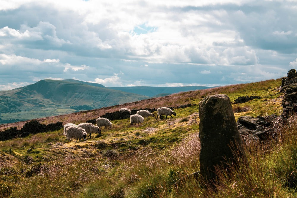 Natural Spring Water from the Peak District | Crag Spring Water